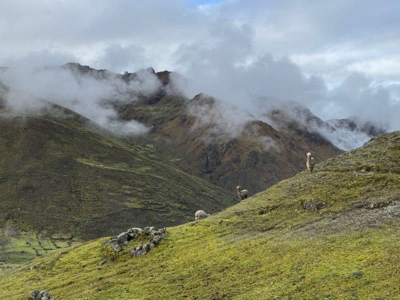 An Epic Mother-Daughter Trek with Mountain Lodges of Peru - Your Time ...