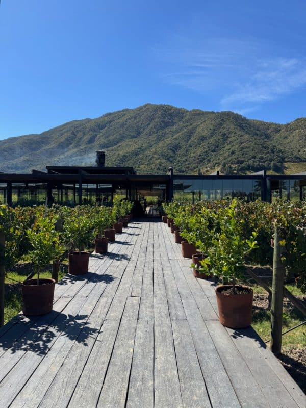 10-Day Chile Itinerary: From Starry Desert Skies to Vineyard Tastings